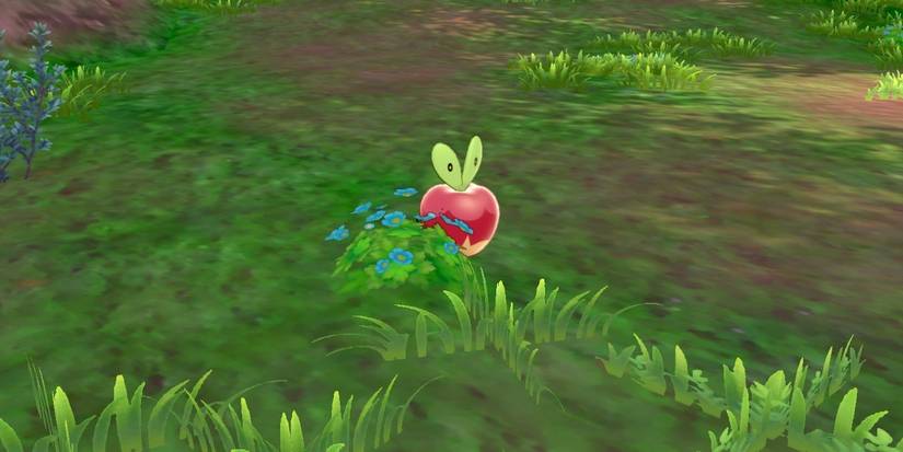 Pokemon Sword & Shield: 10 Things You Didn't Know About Applin