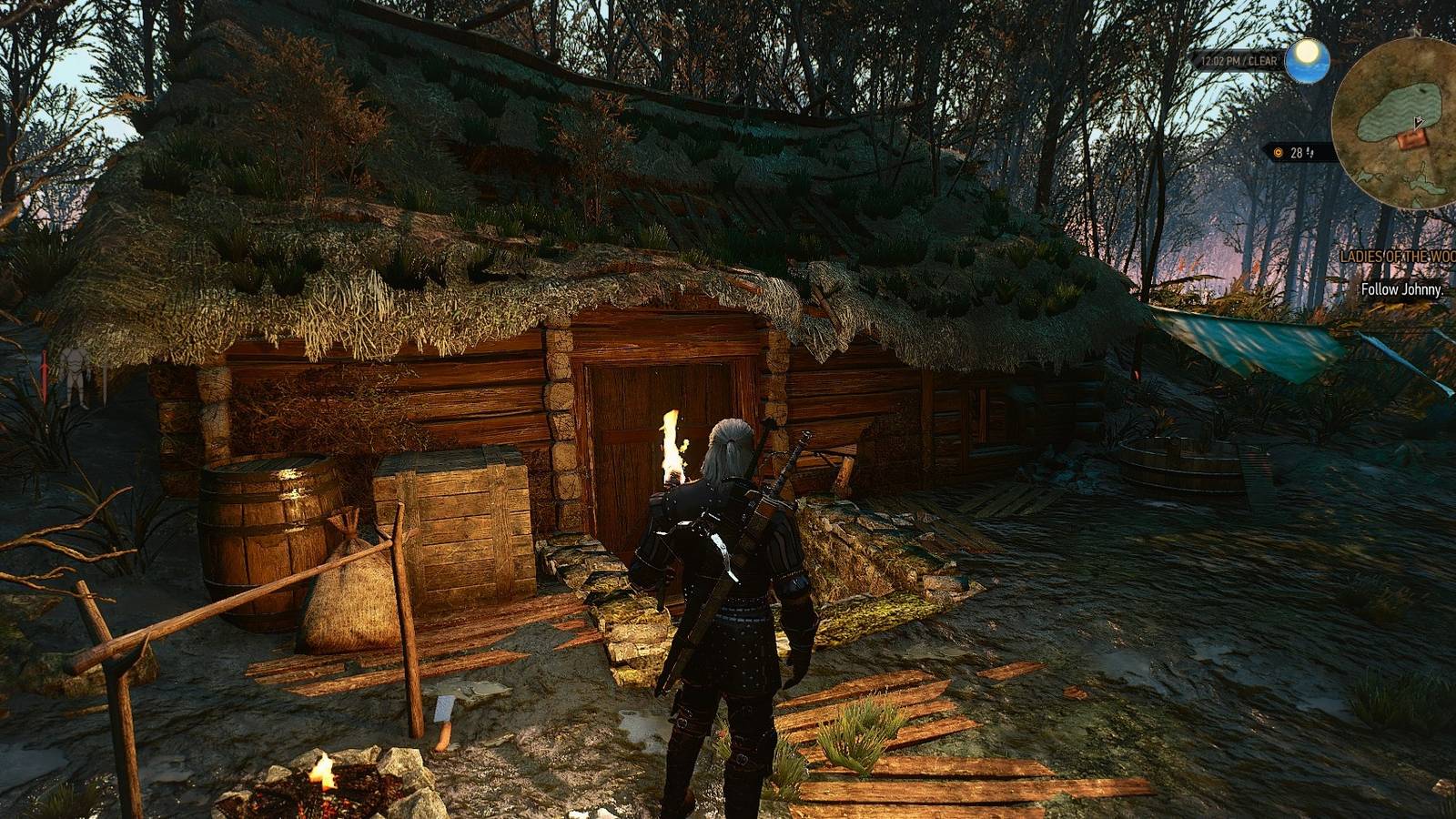 The Witcher 3: Everything You Need To Know About The Ladies Of The Wood ...