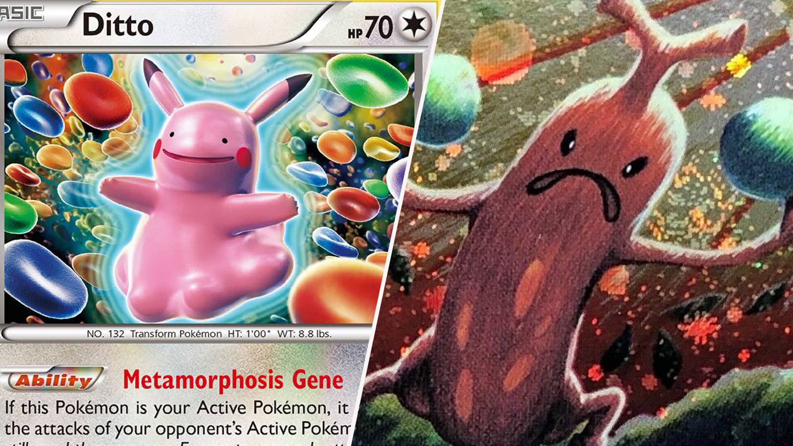 The 10 Weirdest Looking Pokemon Trading Cards, Ranked