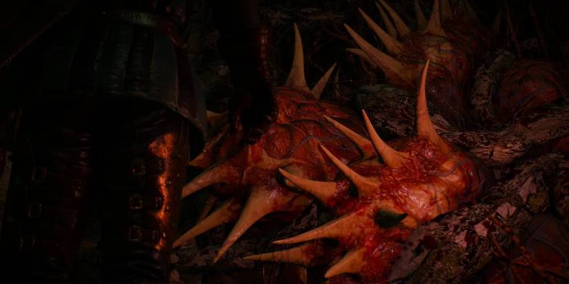 The Witcher 3: Everything You Need To Know About The Ladies Of The Wood ...