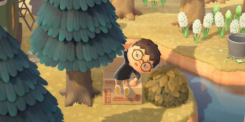Animal Crossing New Horizons: All DIY Furniture Sets, Ranked