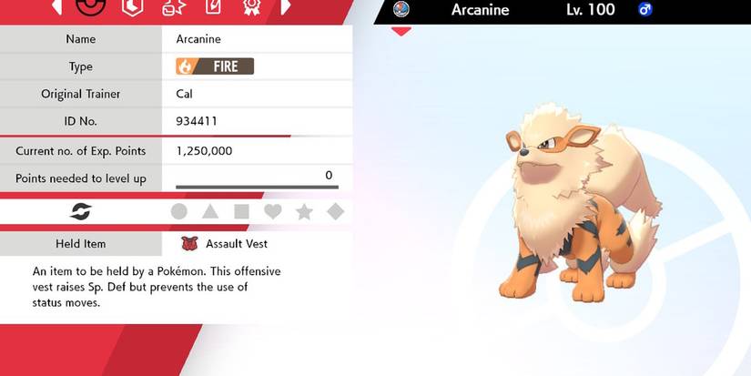 Pokemon: Best 10 Items For Competitive Battles