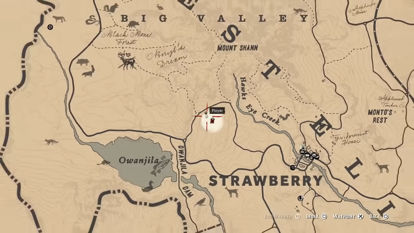 How To Find And Use The Brass Compass In RDR2