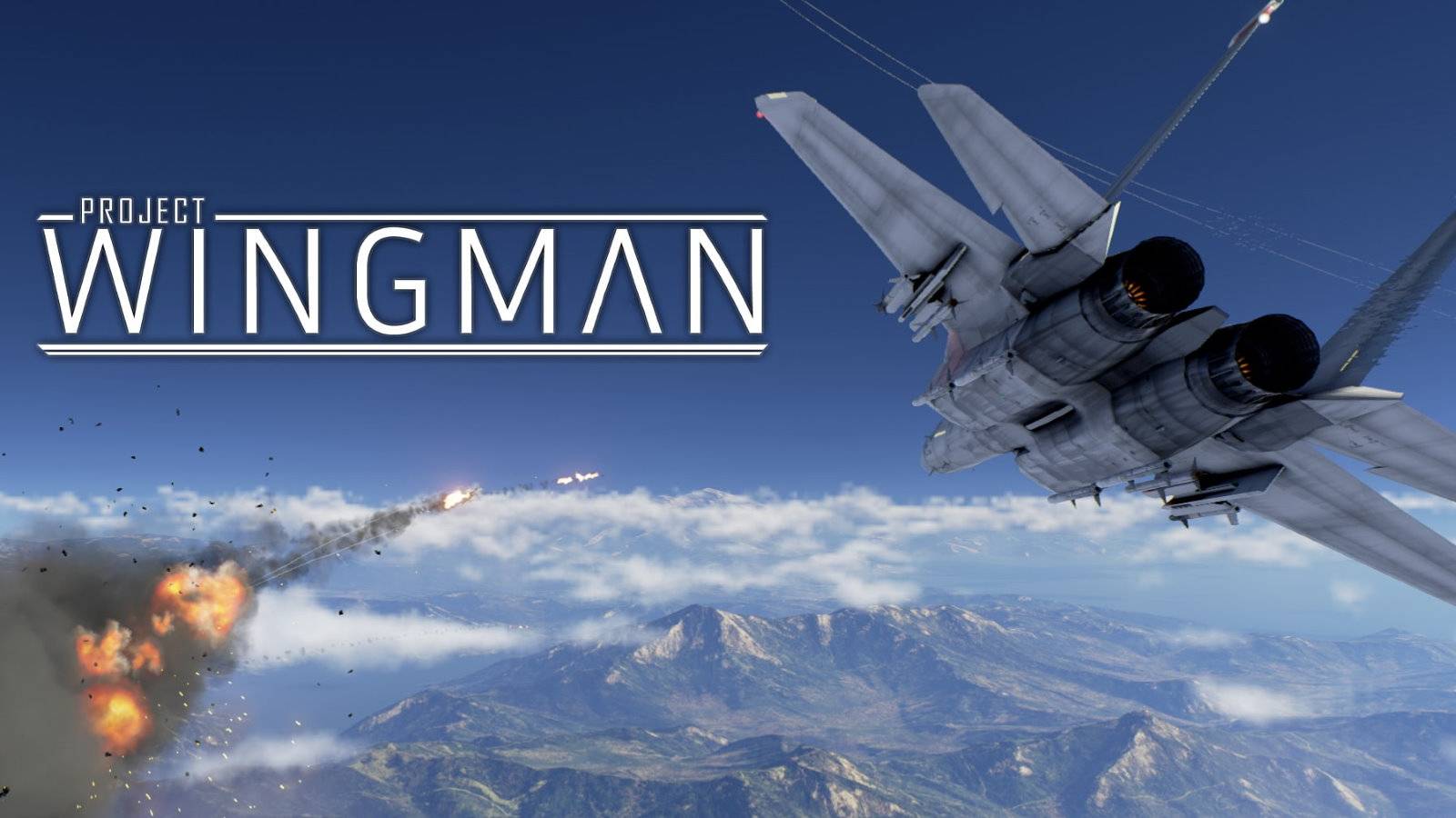 Project Wingman - A Beginner’s Guide To Conquest Mode