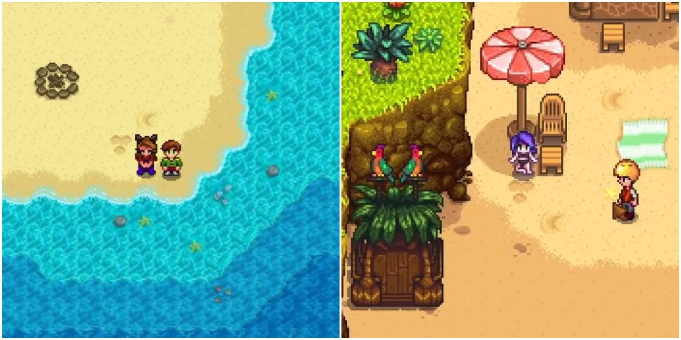 Stardew Valley: Everything You Need To Know About The Fern Islands