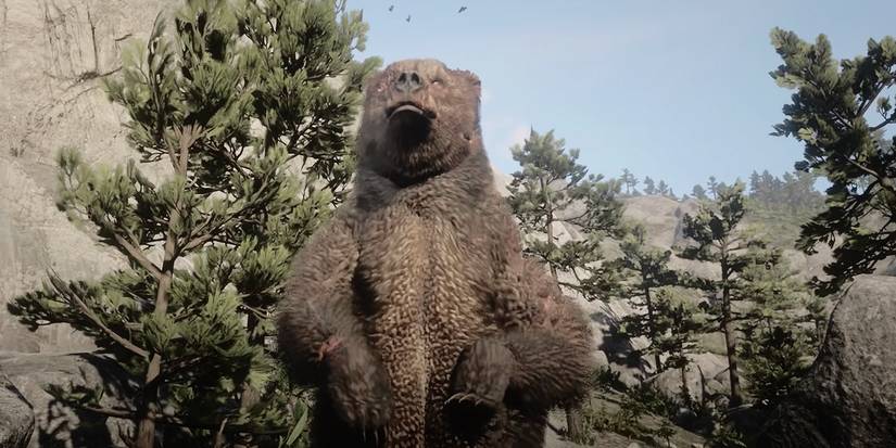 10 Best Secret Achievements & Trophies In Red Dead Redemption 2 (& How ...