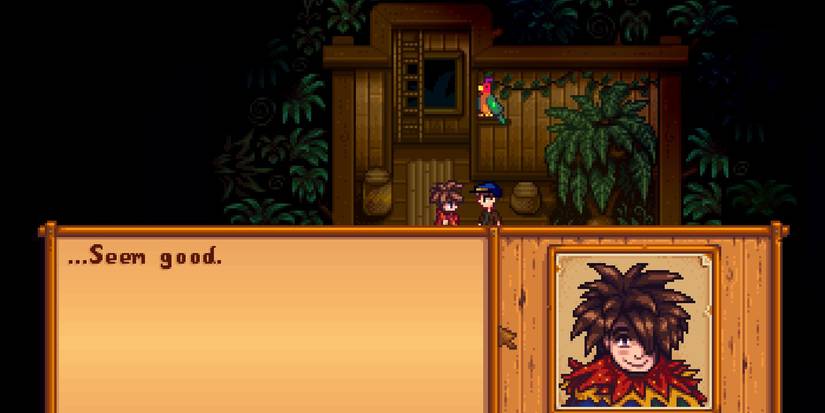 Stardew Valley: Everything You Need to Know About Leo