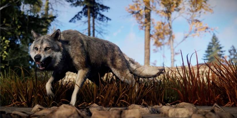 Rust: Every Animal Ranked By How Dangerous They Are (And What Items ...
