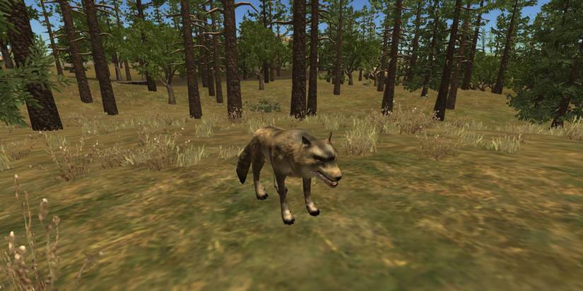 Rust: Every Damage Type (And How To Protect Yourself From Them)