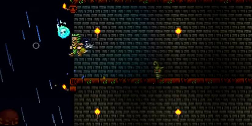 Terraria: The 15 Best Pets (And How To Get Them)