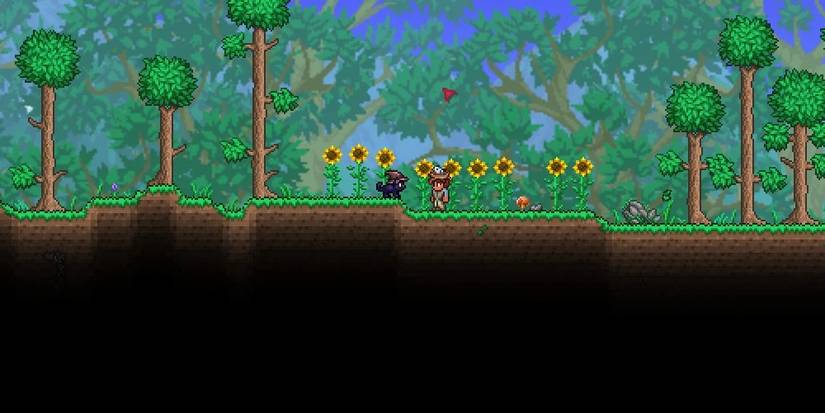 Terraria: The 15 Best Pets (And How To Get Them)