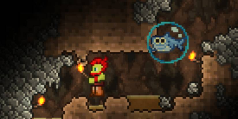 Terraria: The 15 Best Pets (And How To Get Them)