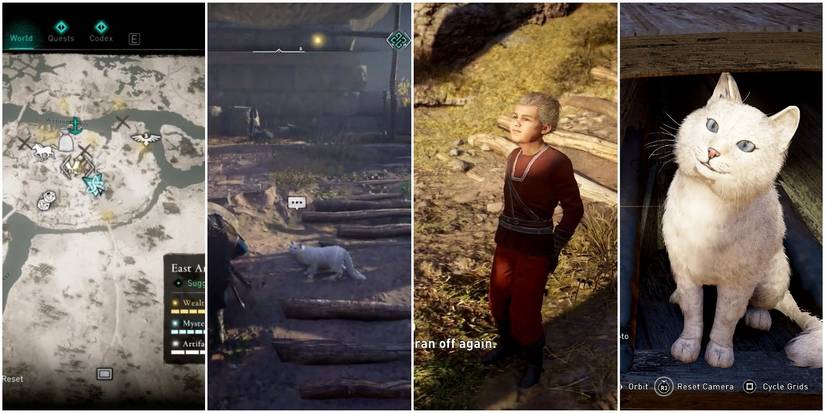 Assassin’s Creed Valhalla: All Of The Animals Who Can Join You On Your ...