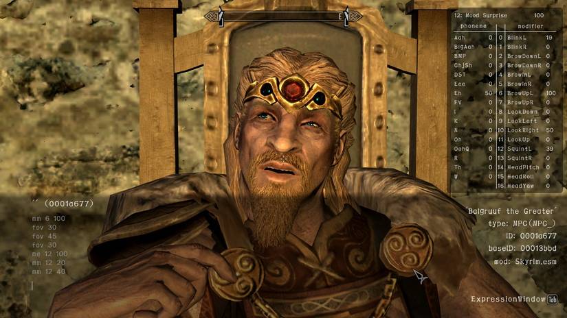 Skyrim: 10 Of The Best Utility Mods, Ranked