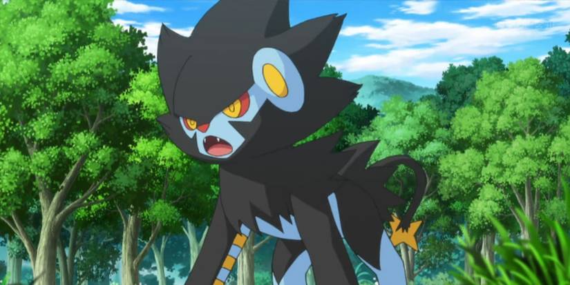 mega luxray type