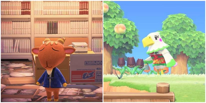 Which Animal Crossing Character Shares Your Birthday In March?