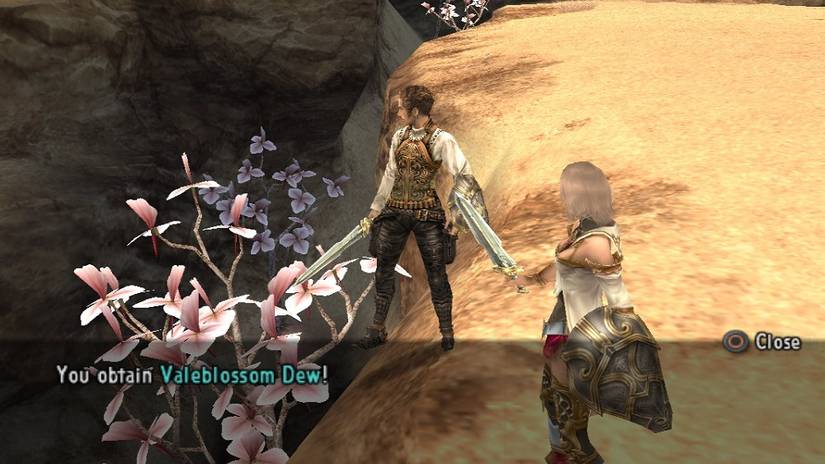 Final Fantasy 12: How To Get The Barheim Key