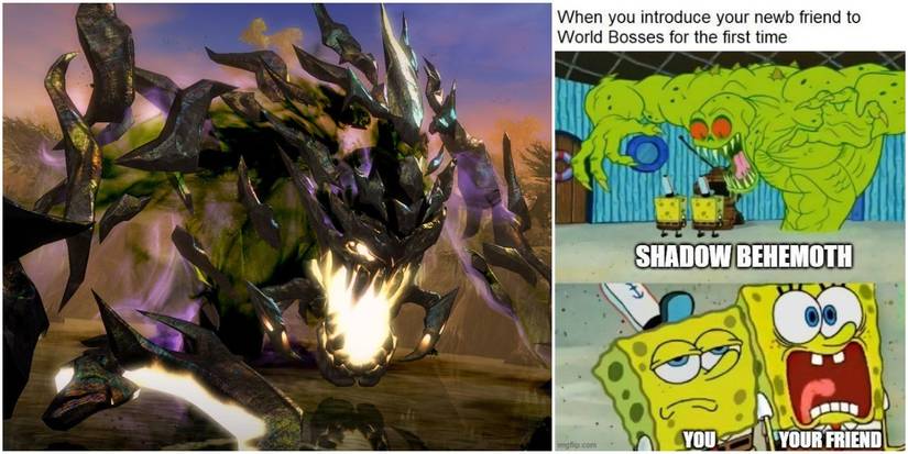 10 Hysterical Guild Wars Memes For Veterans