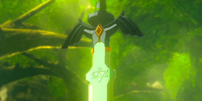 Where To Find The Master Sword In Zelda: BOTW