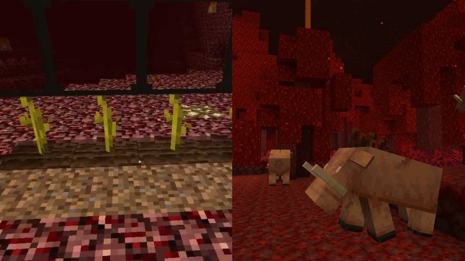 Minecraft: 11 Ways To Get Food In The Nether