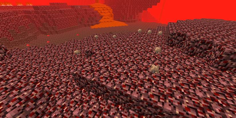 Minecraft: 11 Ways To Get Food In The Nether