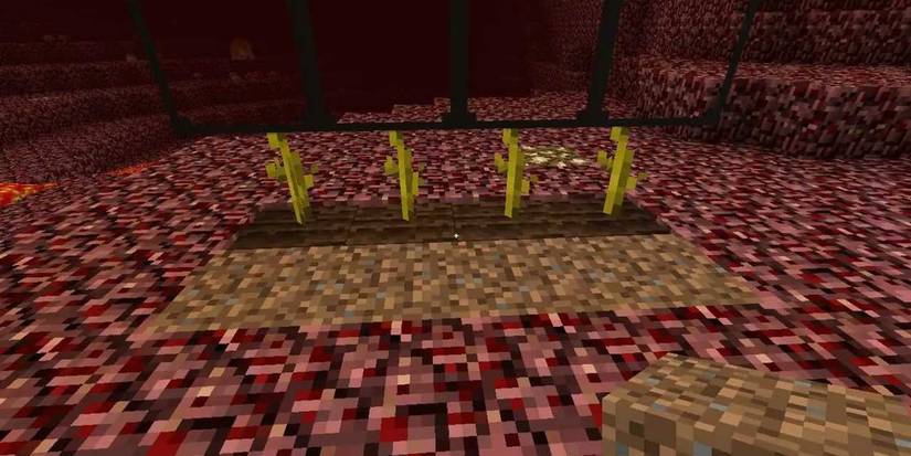 Minecraft: 11 Ways To Get Food In The Nether
