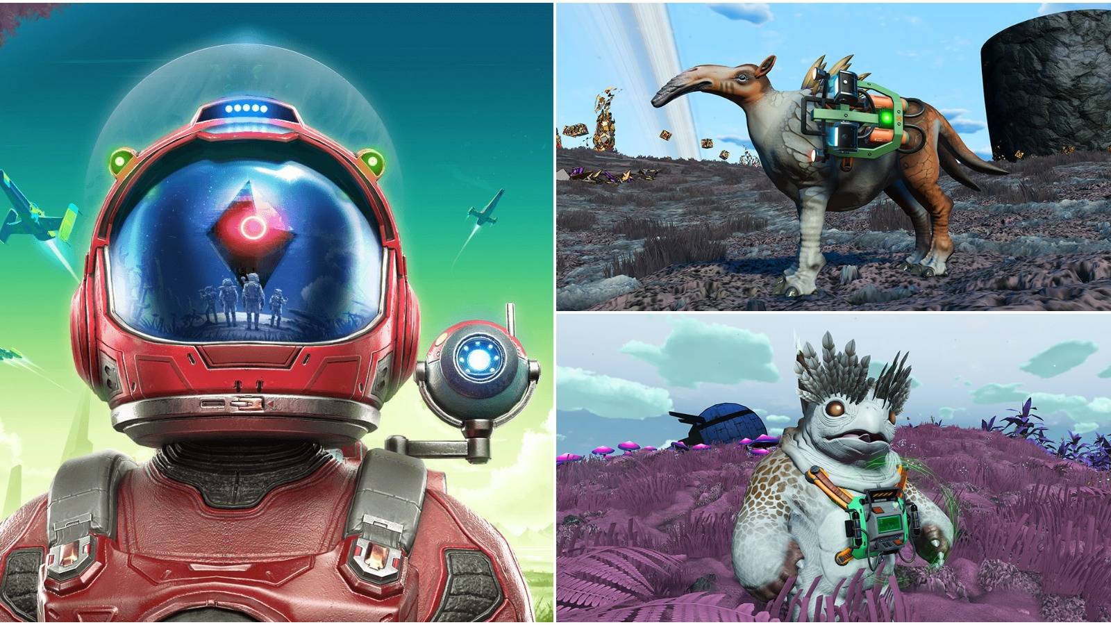 Everything To Know About Companions In No Man's Sky