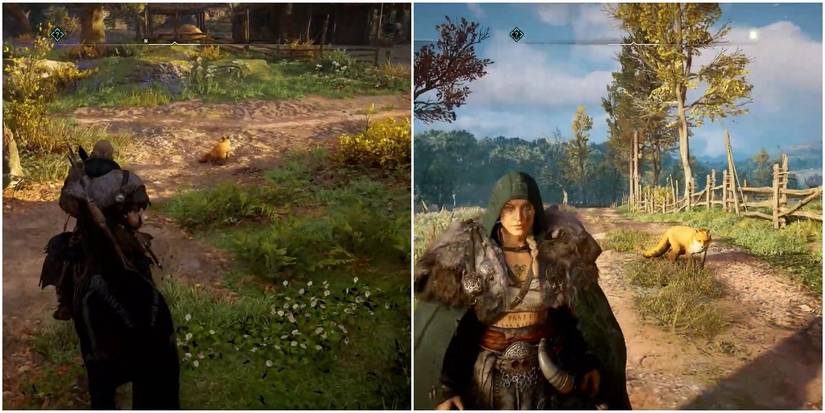 Assassin’s Creed Valhalla: All Of The Animals Who Can Join You On Your ...