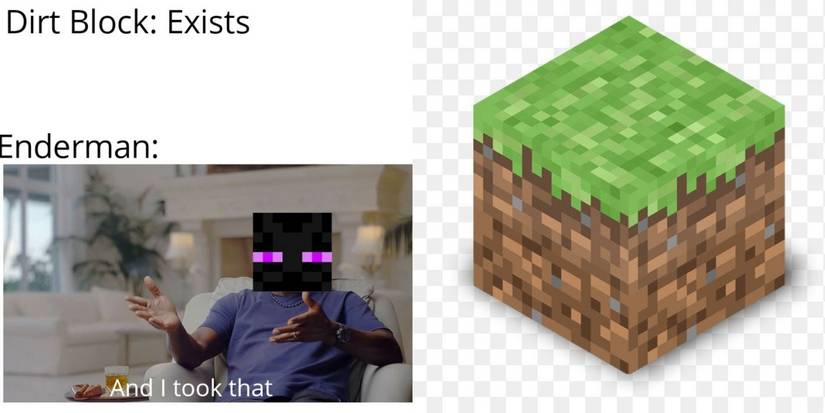 Minecraft: 10 Enderman Memes That Are Hilariously Funny