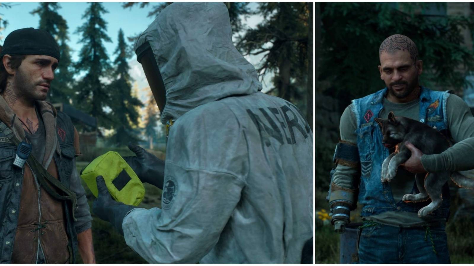 10 Things You Didn't Know About Days Gone