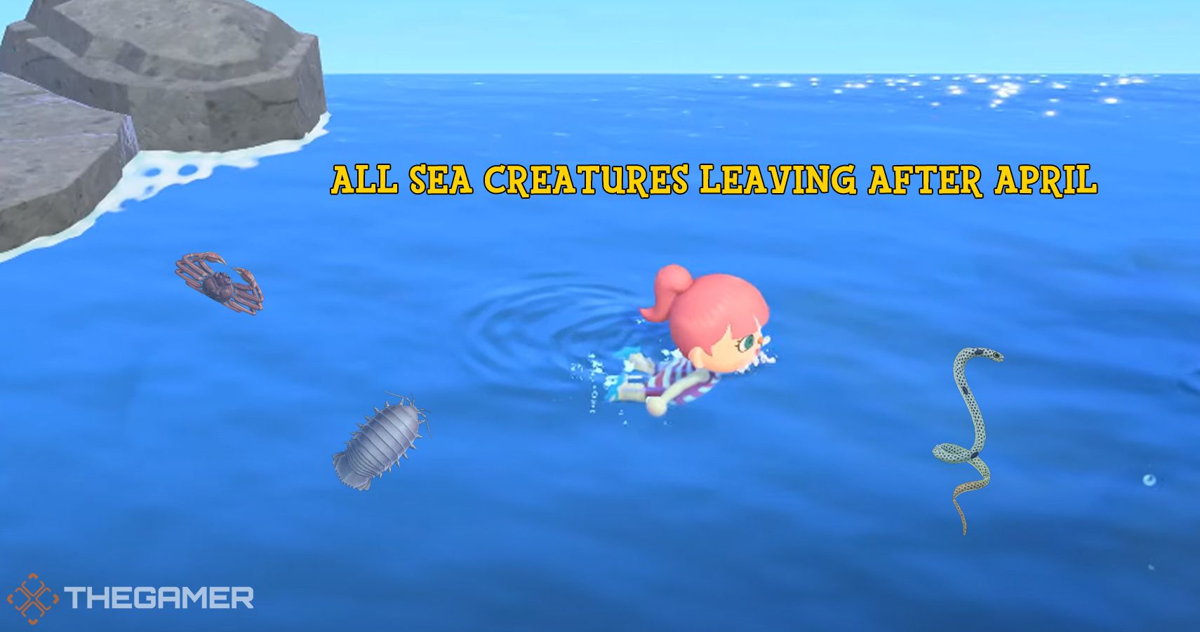 Sea Creatures Acnh