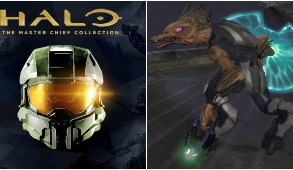 Halo Jackal Head
