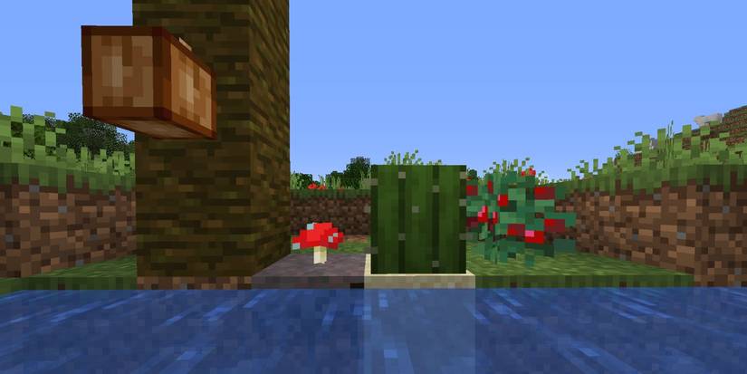 Minecraft: Everything You Need To Know About Growing Crops