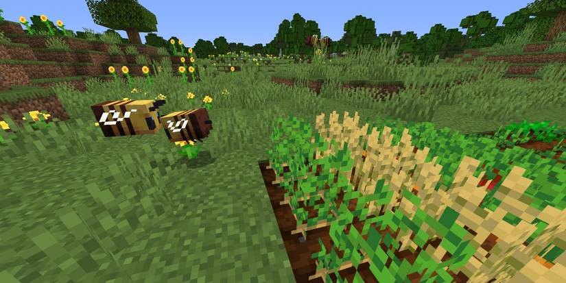 Minecraft: Everything You Need To Know About Growing Crops