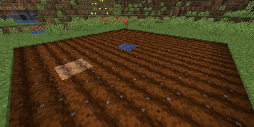 Minecraft: Everything You Need To Know About Growing Crops