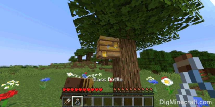 How To Get Honey And What It Does In Minecraft