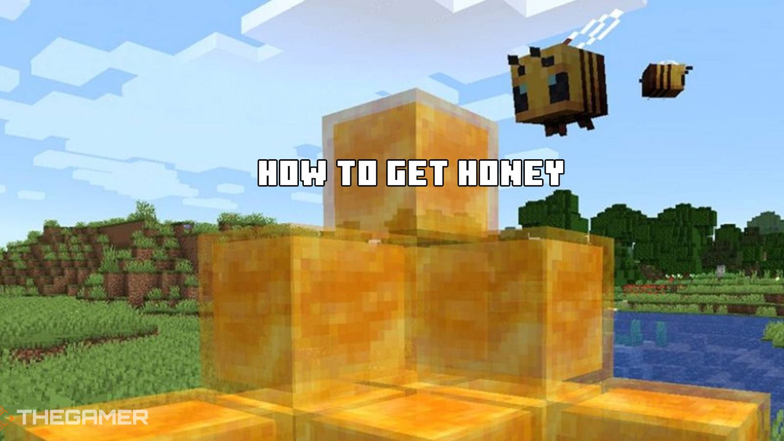 How To Get Honey And What It Does In Minecraft