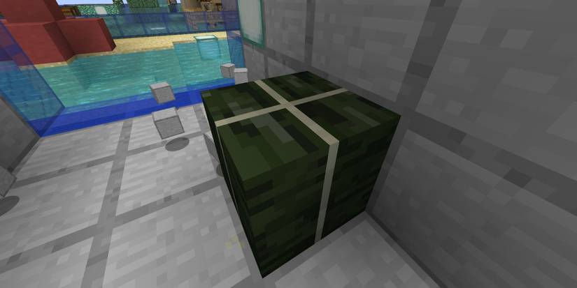 The Best Ways To Use Kelp In Minecraft