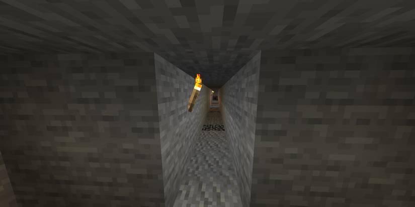 Minecraft: How To Defeat The Wither
