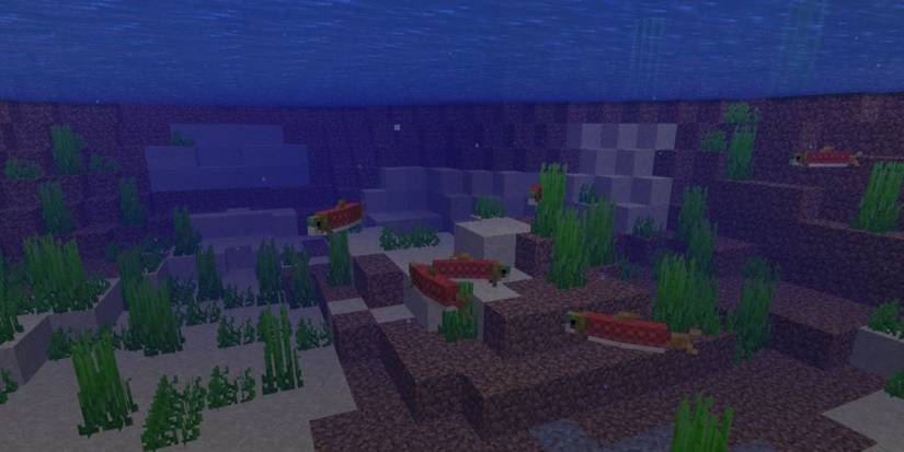 Minecraft: Every Food Item's Hunger And Saturation Values
