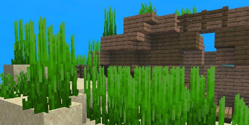Silly Things To Do In Minecraft When You're Bored