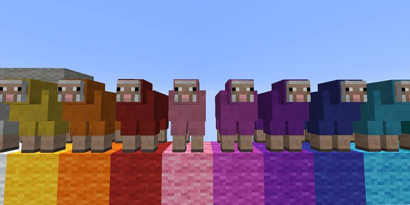 how to color sheep in minecraft