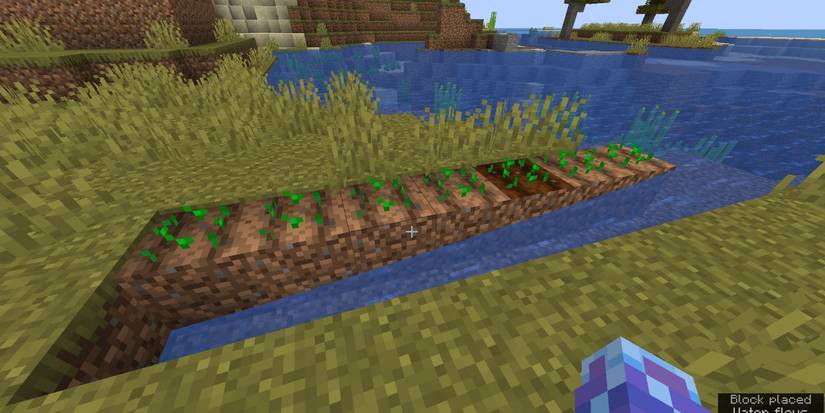 Minecraft: Everything You Need To Know About Growing Crops