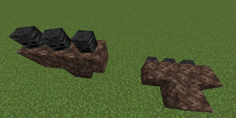 Minecraft: How To Defeat The Wither