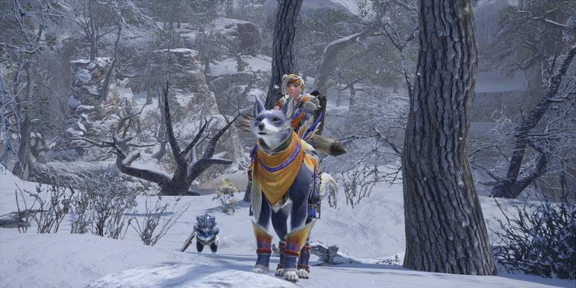 How To Unlock And Equip Buddy Skills And Gear In MH: Rise