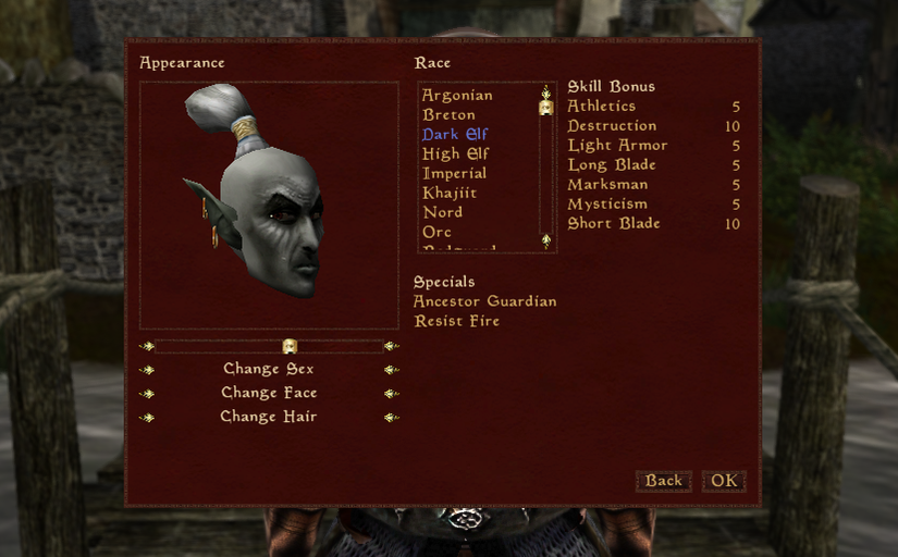 Morrowind: A Beginner's Guide To The Skills and Attributes System