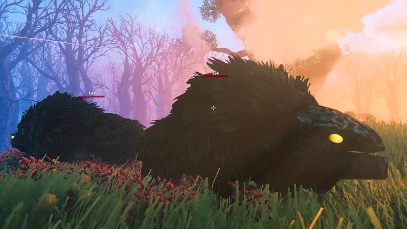 Valhiem: A Guide To The Plains Biome