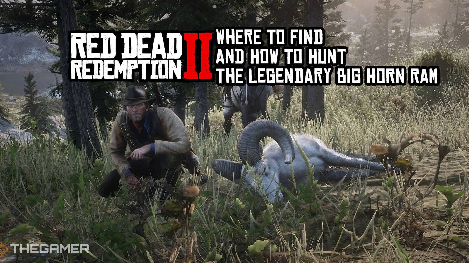 Red Dead Redemption 2: Where To Find And How To Hunt The Legendary Big ...