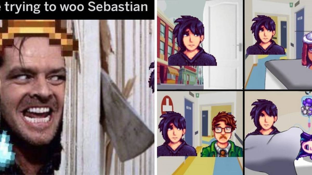 Stardew Valley: 10 Hysterical Sebastian Memes That Are Too Funny For Words