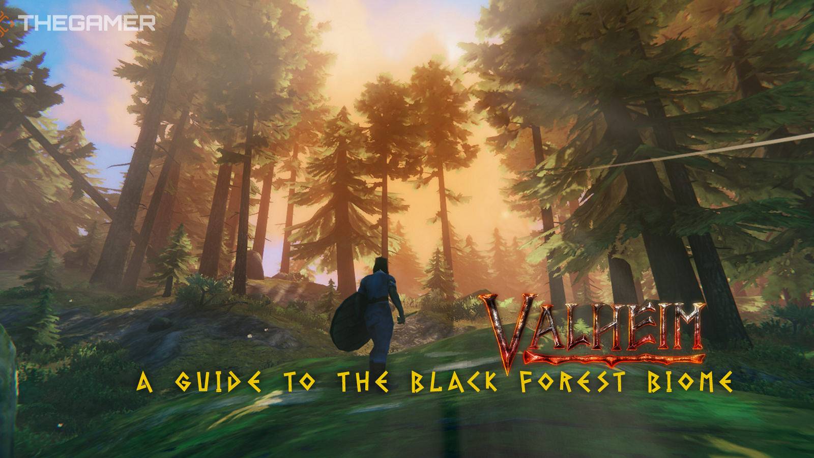Valheim: A Guide To The Black Forest Biome